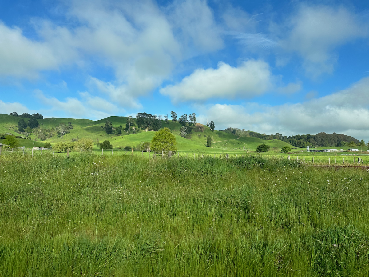 NZ – Hobbiton Filmset ’22 – ALEX WANKER